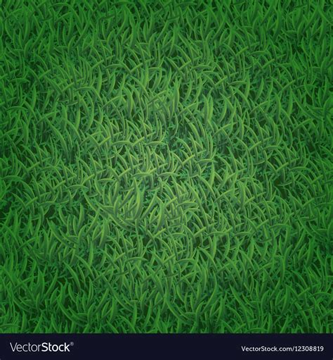 Seamless Grass Texture Royalty Free Vector Image