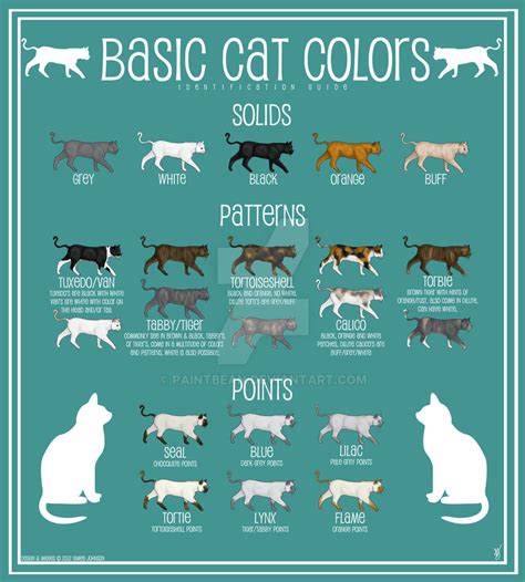 Cat Color Chart By Paintbean On Deviantart