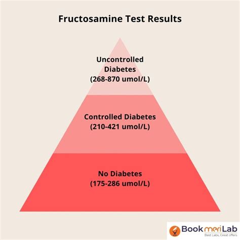 Fructosamine Test Purpose Hba1c Difference And Collection [2025]