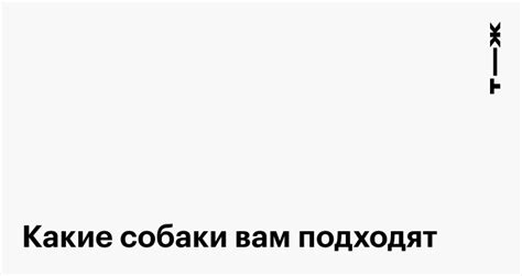 Какую собаку завести ответьте на несколько вопросов и узнайте какая порода собак вам подходит