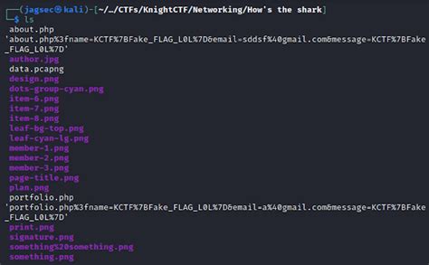 jagsec s write ups knight ctf 2022 networking how s the shark