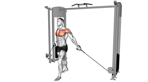 10 Cable Machine Core Exercises For A Stronger And Defined Midsection Workout Guru