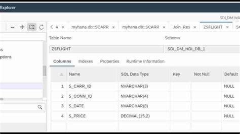 Persist Sap S 4hana On Premises Tables Data Into Sap Hana Hdi Containers On Sap Business