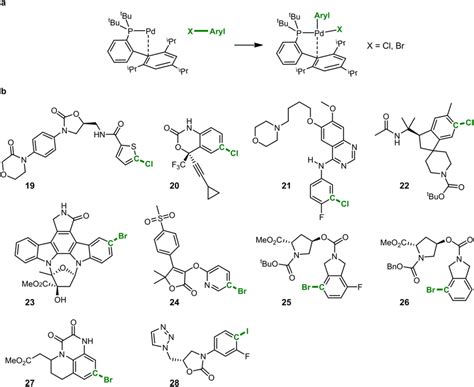 Formation Of Oxidative Addition Complexes Of Drug Like Substrates A