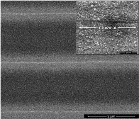 Sem Image The Edge Driven Preferential Alignment Of Silver Download Scientific Diagram