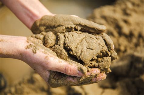 사람이 손에 들고 있는 젖은 해변 모래를 클로즈업합니다 모래로 가득 찬 손 소년의 손에 젖은 모래 젖은 모래 한 줌 남성에 대한 스톡 사진 및 기타 이미지 Istock