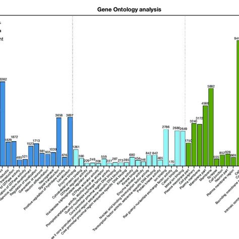 Hierarchical Clustering Heat Map Of The Differentially Expressed