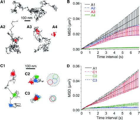 The Averaging Effect Of MSD Calculation Within The Trajectory Overlooks Download Scientific