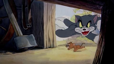 톰과제리 Tom And Jerry 부드러운 깃털의 내 친구 Fine Feathered Friend 네이버 Tv