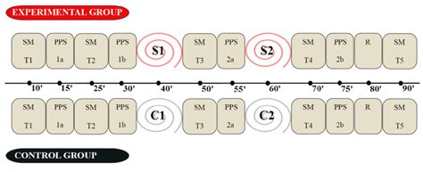 Overview Of The Procedure Sm Stress Measure Pps Peripersonal Download Scientific