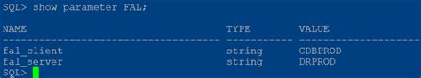 Create Physical Standby Database 19c With Container Using Backup And