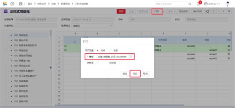 凭证and账表打印攻略 Bip高级版andnc Cloud
