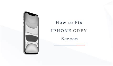 Iphone Screen Is Grey How To Fix It 2024