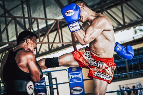 Mixed Martial Arts Camp At Carolann Ness Blog