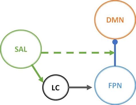 Model Of Large Scale Networks Interaction The Fronto Parietal Network