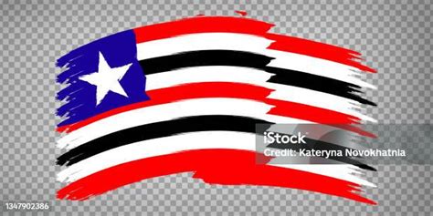 브러시 스트로크에서 마란하오의 깃발 브라질 연방 공화국 웹 사이트 디자인 앱 Ui에 대한 투명한 배경에 브라질의 플래그