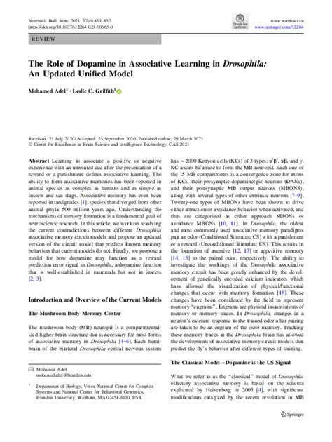 Pdf The Role Of Dopamine In Associative Learning In Drosophila An Updated Unified Model