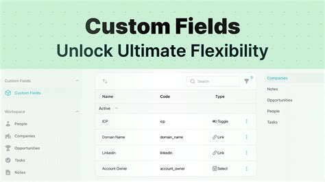 Custom Fields By Relaticle Filament