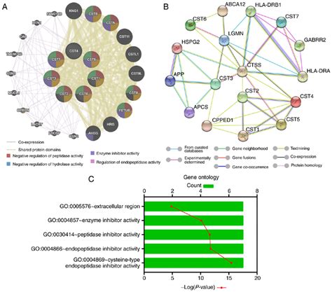 Gene Gene Protein Protein Interaction Networks And Gene Ontology Term