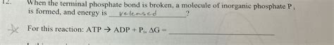Solved When The Terminal Phosphate Bond Is Broken A