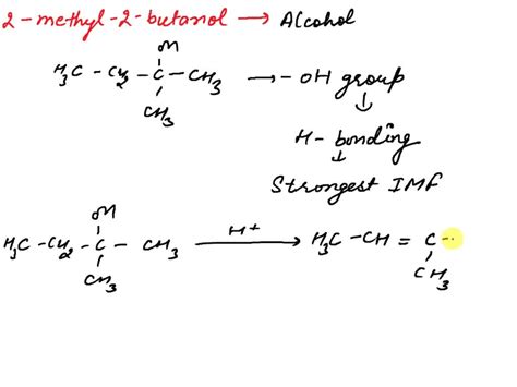 Solved What Types Of Intermolecular Interactions Occur For 2 Methyl 2 Butanol The Alkene Prod