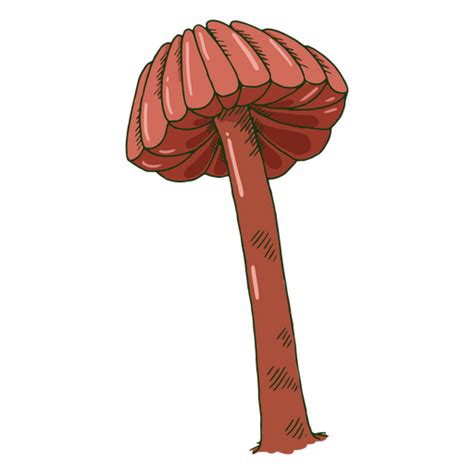 Design Png E Svg De Ícone De Cogumelo Detalhado Para Camisetas