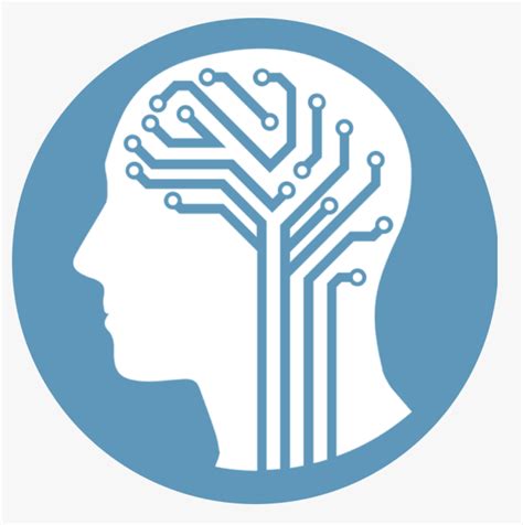AI Study 확률적 경사 하강법