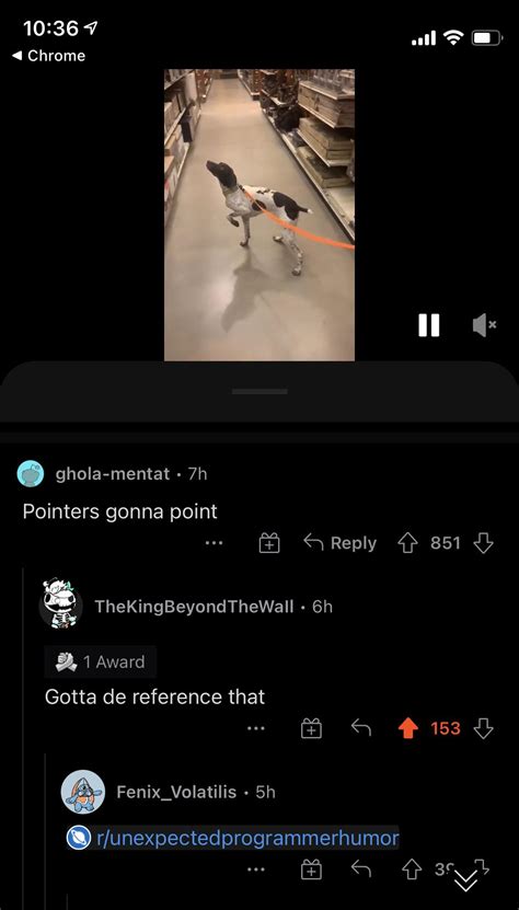 Pointers Ganna Point ProgrammerHumor