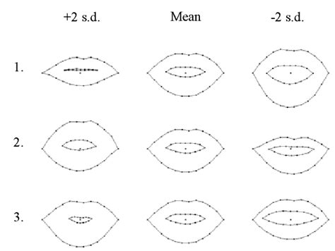 Mean Shape And First Three Modes Of Variation Of Model 2 The First Download Scientific Diagram