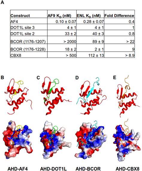 The Intrinsically Disordered Proteins Mllt3 Af9 And Mllt1 Enl