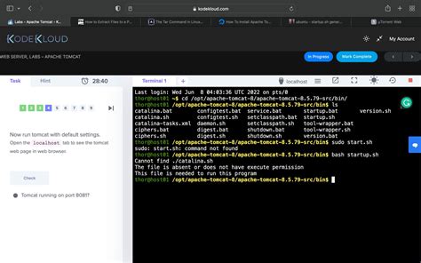 Unable To Start Apache Tomcat In The One Of The Exercises 4 By