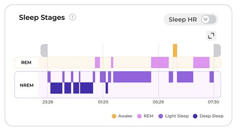 Sleep Stages Guide Understanding Your Sleep Cycles Health