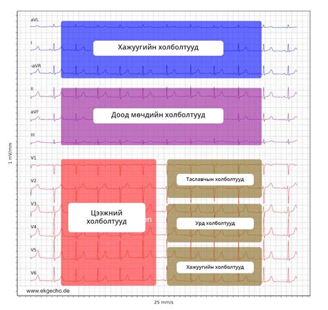 Зүрхний цахилгаан бичлэг ЭКГ Electrocardiography Ecg Erdemed