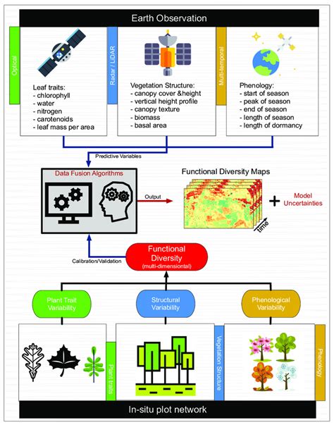 A Conceptual Workflow For Upscaling Plant Fd Using Satellite