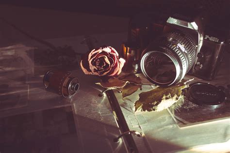 Free Images Light Camera Vintage Film Analog Lens Nikon Digital Photograph Shape
