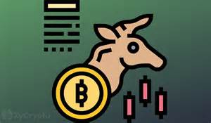 Bitcoin Bull Calls 220000 All Time High As Ether Shiba Inu Cardano