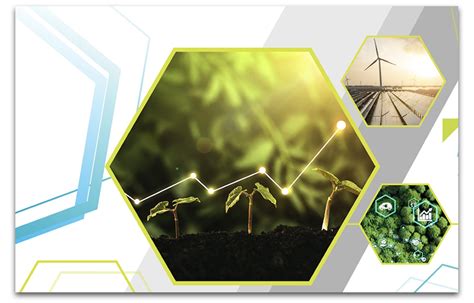 ส่องเส้นทางสู่เป้าคาร์บอนเป็นศูนย์ เป็นกลางทางคาร์บอน ซีพี ปตท กสิกรไทย