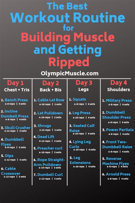 4 Day Split Lifting Routine