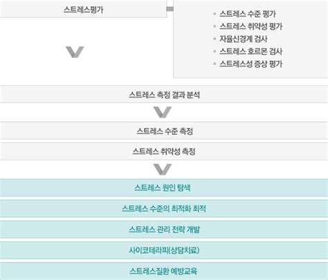 서울아산병원 건강증진센터 개인 건강검진 검사안내 검사정보