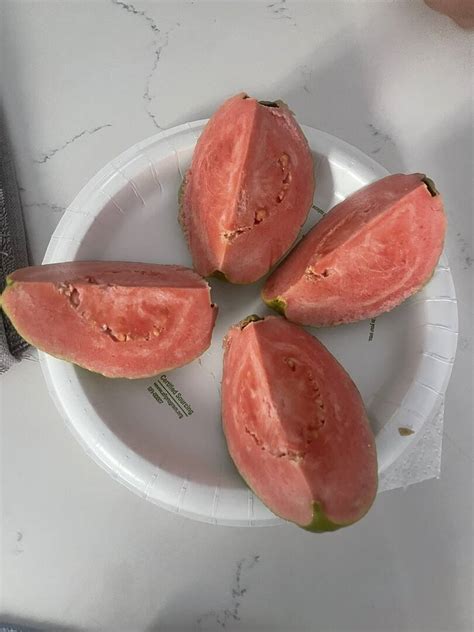 Ruby Supreme Guava Trees For Sale Ruby Supreme Guava Trees For Sale