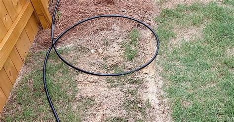 Drip Irrigation Main Line Loop Album On Imgur