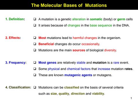 Solution Bioinformatics Genetics And Molecular Biology The Molecular