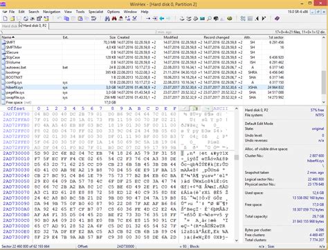 Plain Binary Steganography With A Modified Veracrypt