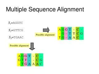 PPT Multiple Sequence Alignment PowerPoint Presentation Free Download ID