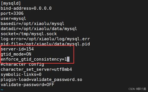 Mysql主从复制基于binlogidbinlog Dump Gtid Csdn博客 Mysql主从复制基于binlogidbinlog Dump Gtid Csdn博客