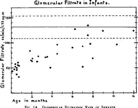 Figure 1 From Maturationof Renal Function Semantic Scholar