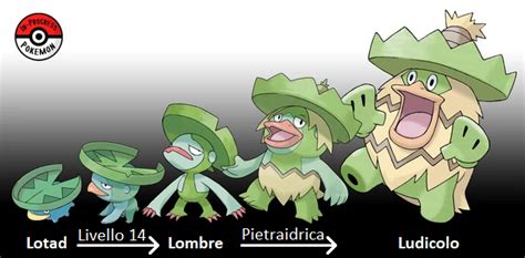 Lotad Analisi Pokémon Wiki Fandom