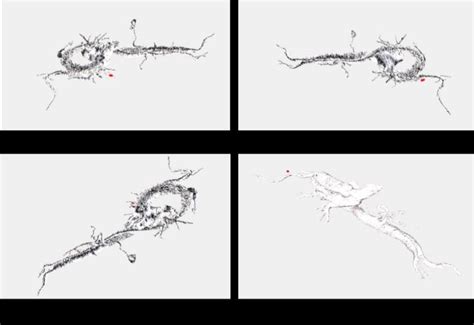 Final Effects Of Vascular Visualization Based On A Browser Representing