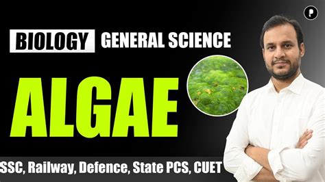 Algae Plant Kingdom Parcham Classes Creating Victories