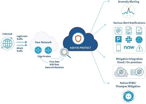 Mitigating DDoS Disruptions 31 Download Scientific Diagram